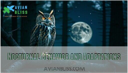 Can Birds See at Night? Facts About Their Vision and Night Adaptations