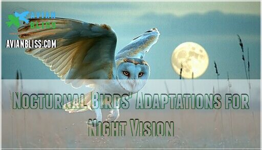 Can Birds See at Night? Facts About Their Vision and Night Adaptations