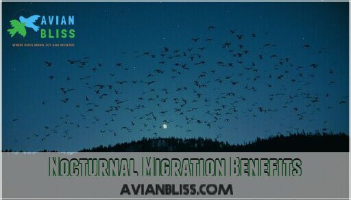 Birds That Migrate at Night: How They Navigate and Avoid Predators