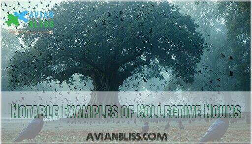 Birds Group Collective Nouns: 40+ Shocking Names You Never Knew Existed!