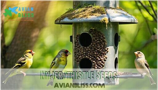 Bird Seed Feeding Guide: Best Seeds and Tips for Backyard Bird Lovers
