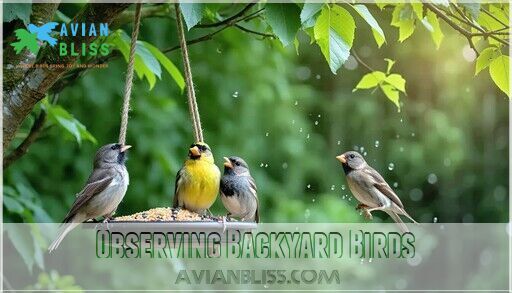 Understanding Bird Communication Methods: How Birds Talk and Connect