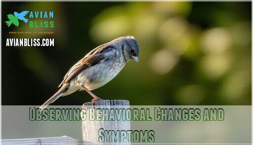 Bird Leg Injuries Recovery: Signs, Treatment, and Care Explained