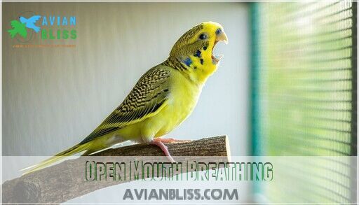 Causes of Respiratory Distress Birds: Emergency Signs & Treatment Tips