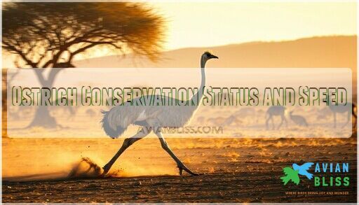 How Fast Can Ostriches Run? Learn Their Top Speed and Amazing Abilities