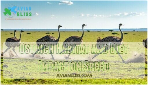 How Fast Can Ostriches Run? Learn Their Top Speed and Amazing Abilities