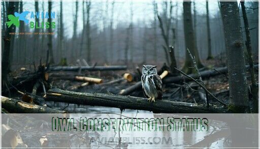 Types of Owls: Species, Facts, and Conservation Insights for 2025