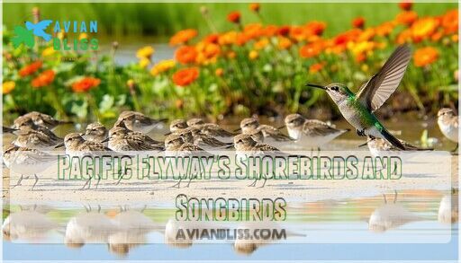 Migrating Bird Habitats in North America: Key Flyways and Conservation