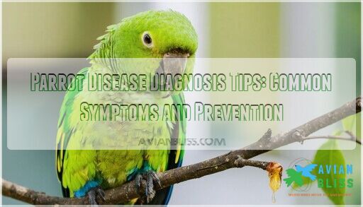 Parrot Disease Diagnosis Tips: Common Symptoms and Prevention