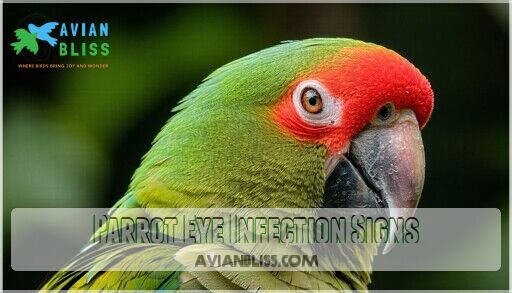 Bird Eye Infection Treatment: Symptoms, Causes, and Effective Care