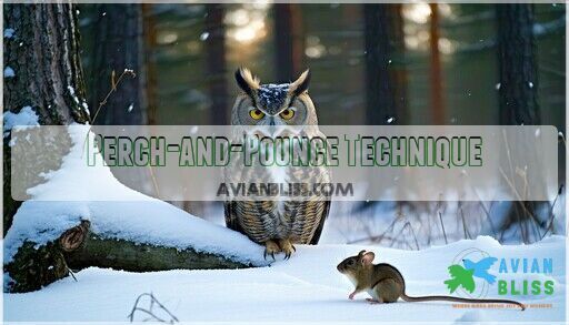 What Do Owls Eat? Amazing Facts About Their Hunting & Diet Secrets