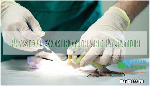 Bird Leg Injuries Recovery: Signs, Treatment, and Care Explained