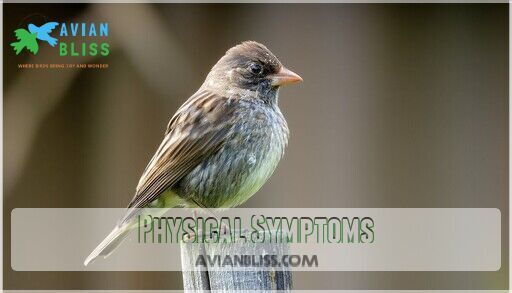 Common Bird Diseases Symptoms: How to Spot and Prevent Illness