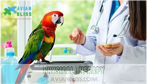 Bird Wound Healing Stages Explained: How Injuries Heal and Recovery Tips