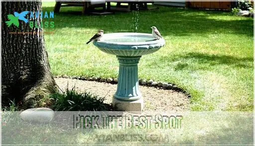 Bird Bath Installation Guide: Tips for Location, Setup, and Maintenance
