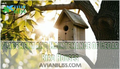 Cedar Bird House Benefits: Attract Birds, Save Money, and Go Green