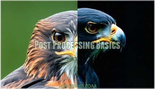 Bird Photography Post Processing Workflow: 7 Secret Steps Pros Don't Share