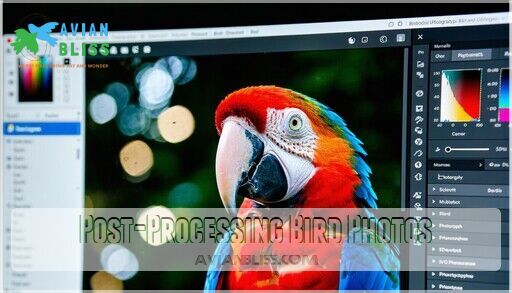Best Bird Photography Tips for Beginners: Capture Stunning Bird Images