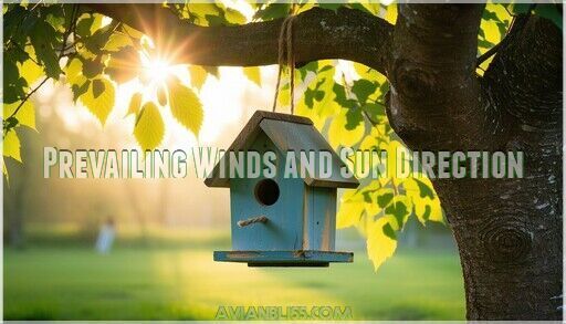 Hanging Bird House Ideas: Safe Tree-Friendly Tips & Creative DIY