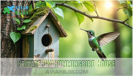 Bird House for Hummingbirds: Build or Buy? Top Tips & Ideas for 2025