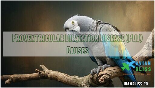 Parrot Disease Diagnosis Tips: Common Symptoms and Prevention