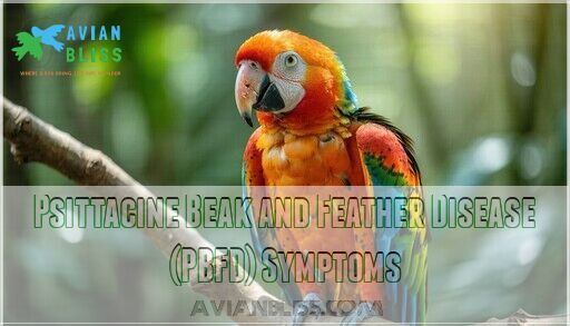 Parrot Disease Diagnosis Tips: Common Symptoms and Prevention