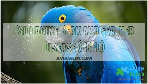 Parrot Health Issues Symptoms: 10 Warning Signs Every Owner Needs