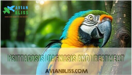 Parrot Disease Diagnosis Tips: Common Symptoms and Prevention