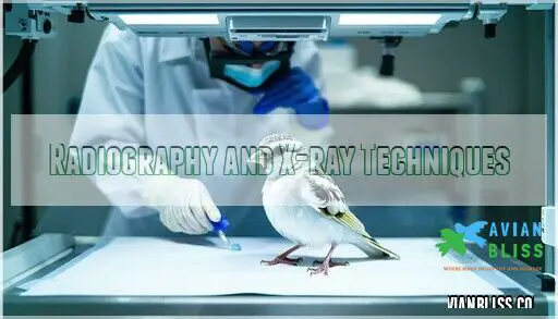 Bird Leg Injuries Recovery: Signs, Treatment, and Care Explained