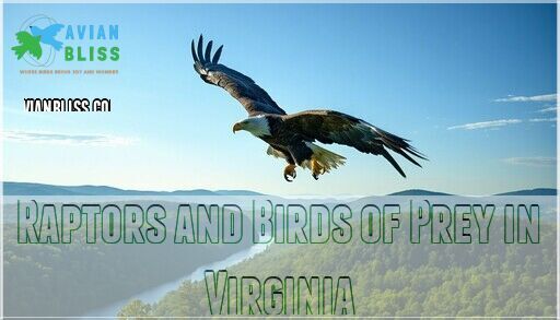 Common Birds in Virginia: Top Backyard & Native Species to Spot