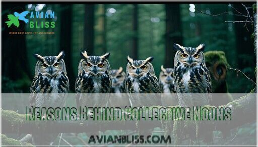 Birds Group Collective Nouns: 40+ Shocking Names You Never Knew Existed!