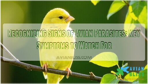 Recognizing Signs of Avian Parasites: Symptoms Every Bird Owner Should Know