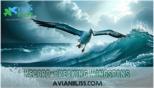 Largest Wingspan Bird: Meet The Giants of The Skies!