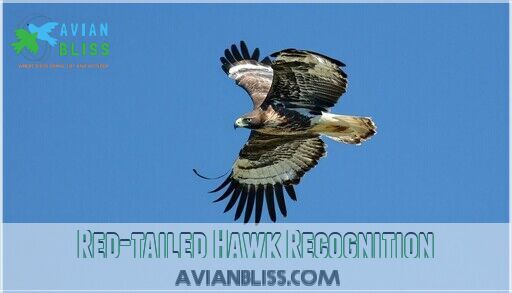 Free Bird Identification Guide Online: 10 Best Apps & Tools for Birders ...