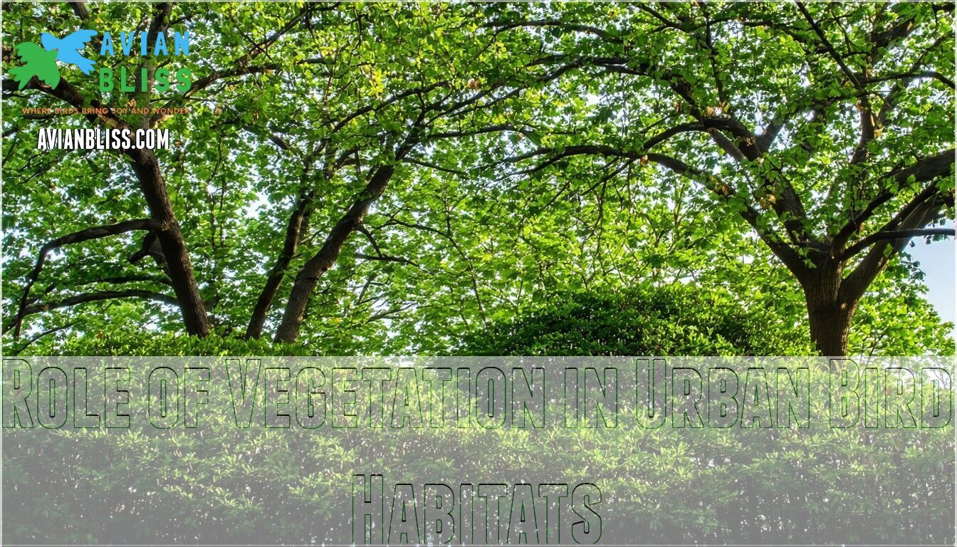 Urban Bird Habitat Identification: Key Insights for Bird-Friendly Cities