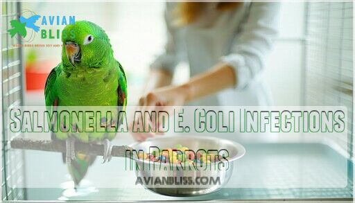 Parrot Disease Diagnosis Tips: Common Symptoms and Prevention