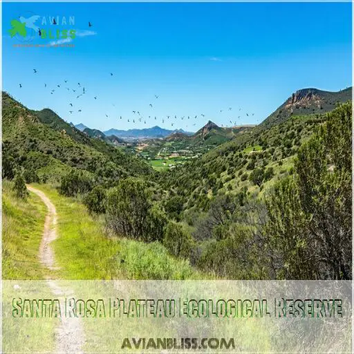 Bird Watching Hotspots in California: 15 Secret Spots The Locals Don't ...