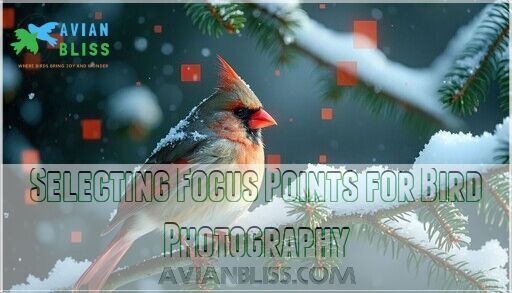 Focusing Techniques Bird Photography: Master Sharp Wildlife Shots