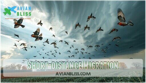 Bird Behavior Migration Patterns: Secrets of Epic Journeys Revealed