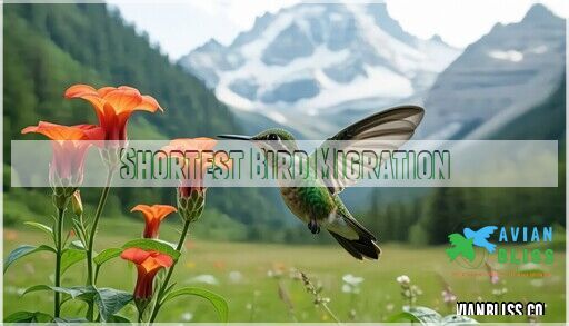 Bird Migration Distance by Species: Shocking Records That Will Amaze You