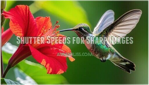 How to Photograph Birds in Flight: Pro Tips