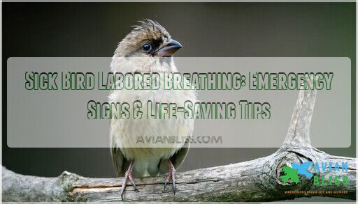 Sick Bird Labored Breathing: Emergency Signs & Life-Saving Tips