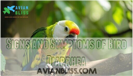 Bird Diarrhea Treatment Home Remedies: Simple Tips for Quick Relief