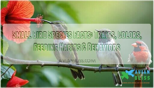 Small Bird Species Facts: Traits, Colors, Feeding Habits & Behaviors