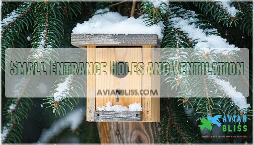 Insulated Bird Houses for Winter: Keep Birds Warm and Safe in The Cold