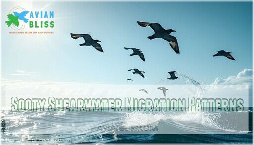 Bird Migration Distance by Species: Shocking Records That Will Amaze You