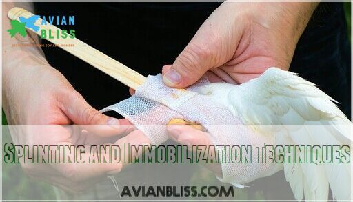 How to Treat Injured Bird Wing: Simple Steps to Help It Heal Safely