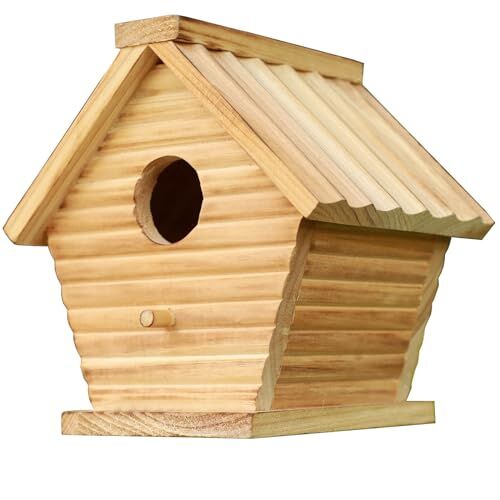 Insulated Bird Houses for Winter: Keep Birds Warm and Safe in The Cold