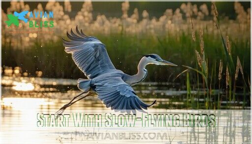 How to Photograph Birds in Flight: Pro Tips