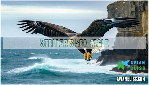 Largest Wingspan Bird: Meet The Giants of The Skies!